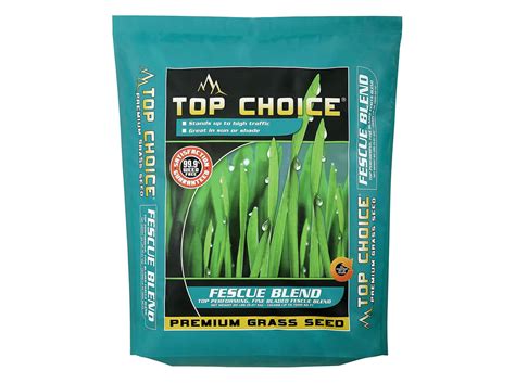 Champion Top Choice Tall Fescue Blend 50lb 20lb 10lb Champion Builder