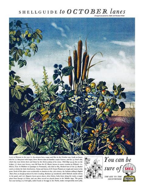 1954 Shell Ad Illustration By Edith And Rowland Hilder Copy Flashbak