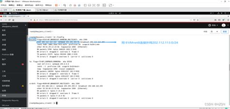 配置iptables防火墙：nat服务器的设置与安全访问控制 Csdn博客