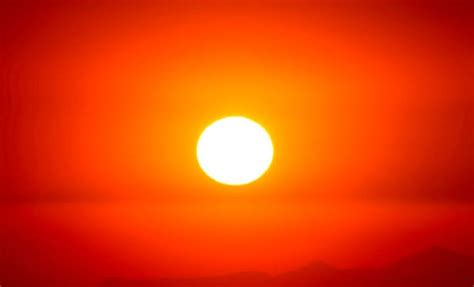Astro Planner For Leo Season 2021 Catherine Goshen Astrology