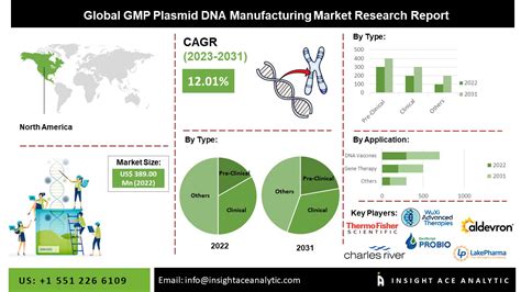 Gmp Plasmid Dna Manufacturing Market Size Share Growth And Forecast