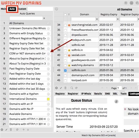 Domain Auto Query Filters
