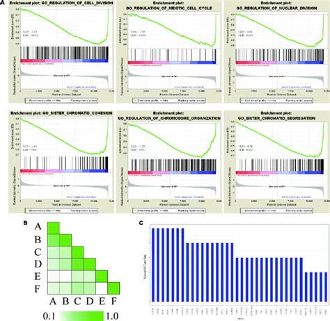 Gsea Of Gene Expression Profiling Of Hcc A Go Enrichment Plot Of