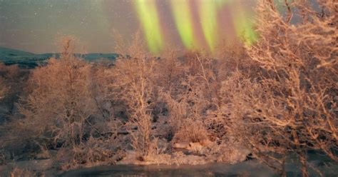 녹색과 보라색 오로라 보어가 하늘에 있습니다 사진 Unsplash의 하늘 이미지