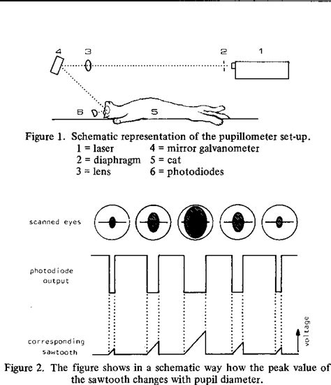 Figure 1 From A Low Cost Laser Pupillometer Semantic Scholar