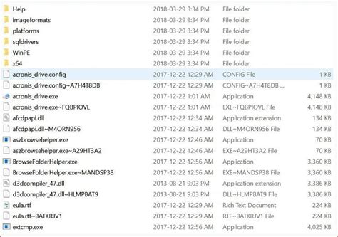 Duplicate Files With Very Odd File Extensions Windows Forums