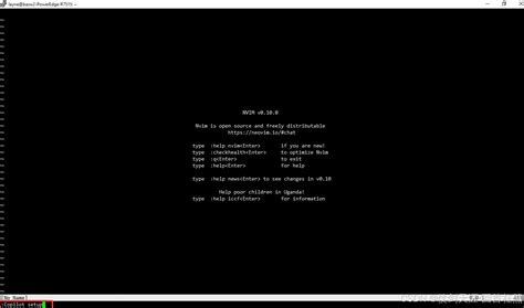 Nvim Setup Copilotfor Code Assit