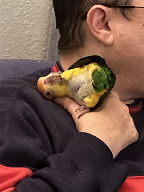 Confused Instructions Said Item Would Be Foldable But Now It Is Stuck