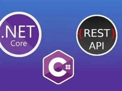 Fast Efficient Code Solutions NET API Web Upwork