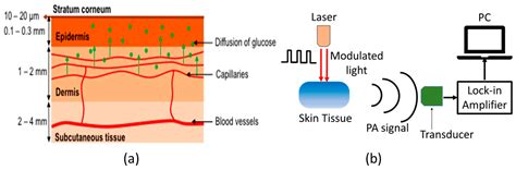 Spectroscopy Blood Glucose At Scarlett Hillier Blog