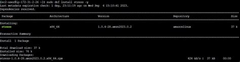How To Install Stress On Amazon Linux 2023 Cloudkatha