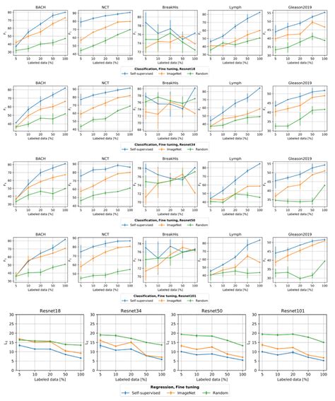 [paper Review] Self Supervised Contrastive Learning For Digital Histopathology