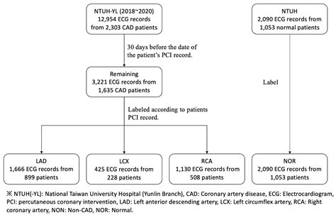 Biomedicines Free Full Text An Artificial Intelligence Enabled Ecg