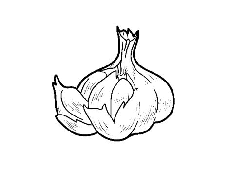 Ajo Para Colorear Dibujo Knoblauch Coloring Garlic Malvorlage Dibujos