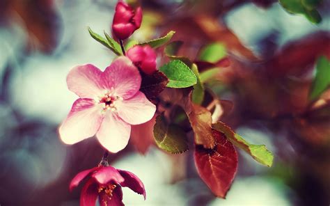 Reliable Feedback Medium