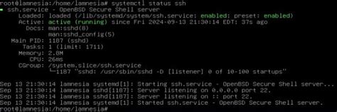 Tutorial Cara Install Ssh Server Di Debian Lamnesia Media