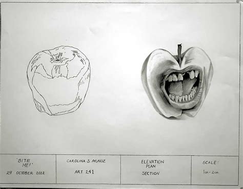 Orthographic Section Project