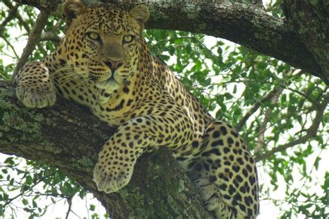2023 Day Trip Lake Nakuru National Park