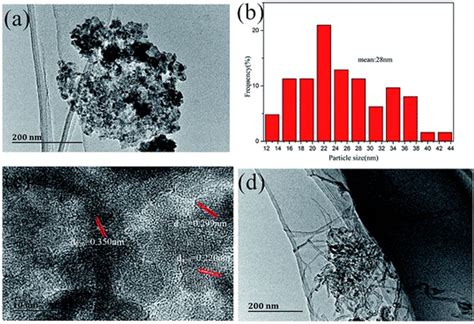 Blockchain Bridges Connecting Multiple Blockchain Ecosystems The