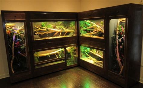 31 Best Custom Reptile Showcase Cages Images On Pinterest Reptile