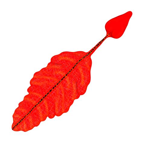 Drawing Red Cupid Arrow 3d Free Image From