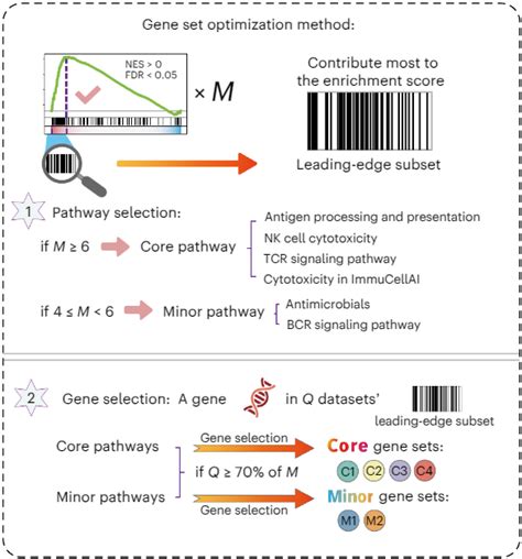 Nature Immunology：预测可提高免疫检查点阻断疗法疗效药物的方法 每日生物评论