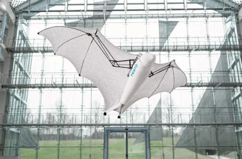 Festo Bionic Bat Robot Review Price Robot Bat Specification