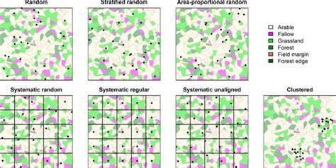 Sampling Techniques In Ecology Types Steps And Examples Only Zoology