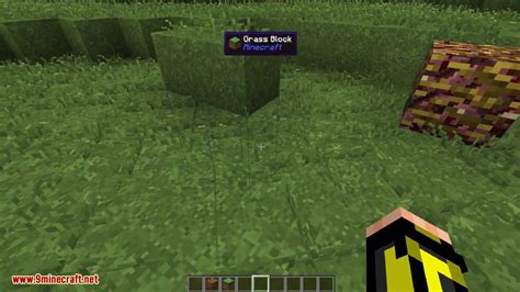 Mod De Rayos X Avanzado 1192 1182 Forgefabric