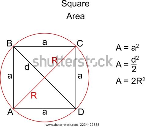 Circumscribed Circle Square Abcd Side Circumradius Stock Vector