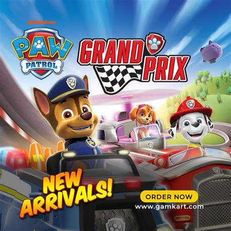 Paw Patrol Grand Prix Frosted Flakes Cereal Box Grands