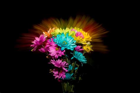 красивый букет цветов · бесплатная фотография от Photomonstr картинки и обои на рабочий стол