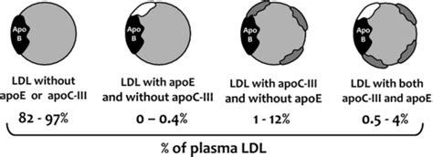 Relative Distribution Of The Plasma Ldl Subpopulations According To
