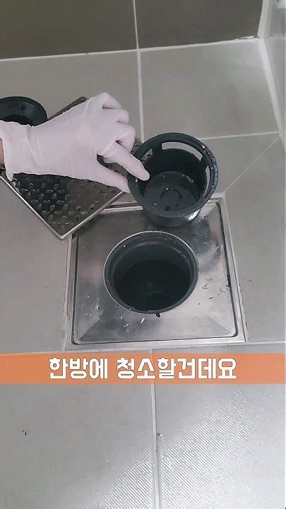 다이소욕실 배수구 악취찌든 때 제거는 이게 제일 쉬워요 Youtube