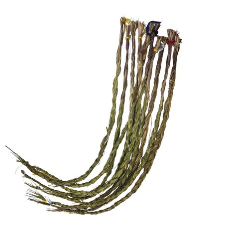 Sweetgrass Braid 24″ Length Herbal Sense Life