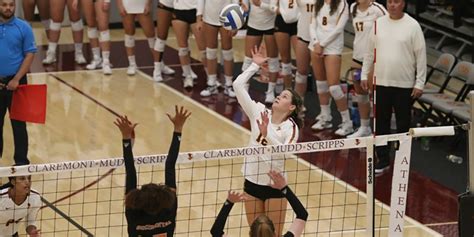 Avca Players Of The Year Avca Awards