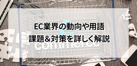 【2024年版】ec業界の動向や用語・課題＆対策を詳しく解説｜gmoクラウドec 〜ecnews〜