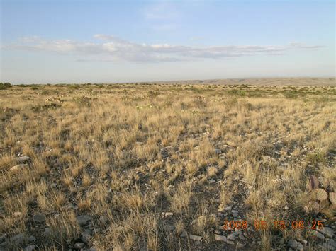Photographs Of The Small Mammal Survey Site Location 3 Located At The