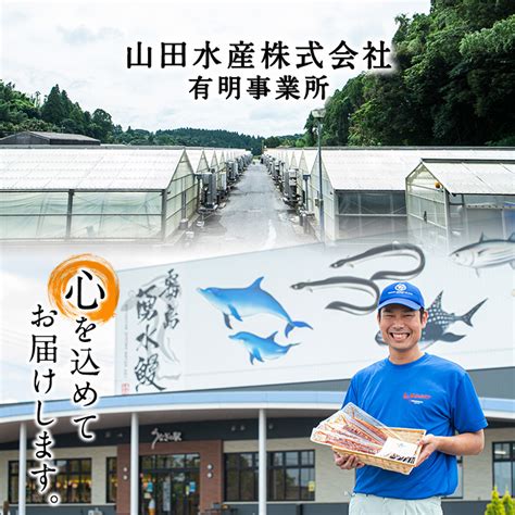 【お礼の品人気no1】霧島湧水鰻の蒲焼き 160g以上×5尾＜計800g以上＞ B8 038 鹿児島県志布志市 セゾンのふるさと納税