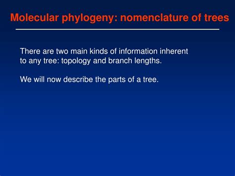 Ppt Molecular Phylogenetics And Evolution Powerpoint Presentation