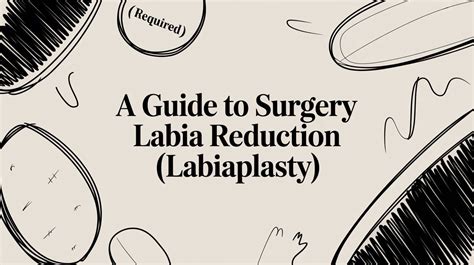 A Guide To Surgery Labia Reduction Labiaplasty