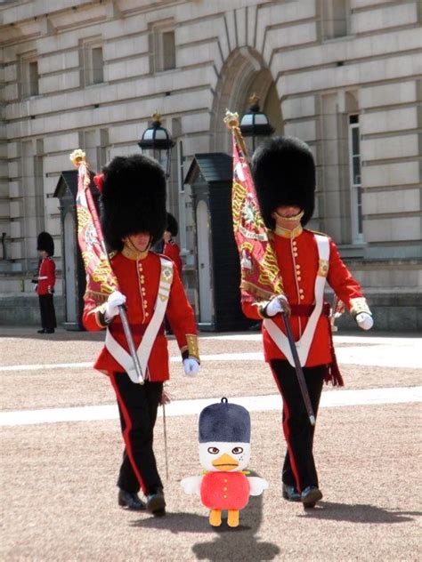 더쿠 또리가 낳은 똘병 사실 처음부터 귀여웠어