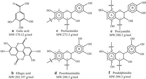 Schematic Representation Of Hydrolysable Tannins Molecule And Four