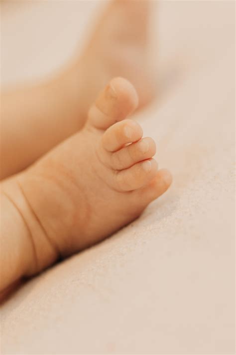 Human Anatomy Scrotum Photos Download The Best Free Human Anatomy
