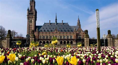 Дворец мира в Нидерландах описание фото People Travel