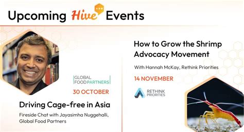 Every Two Weeks We Continue To Send A Free Newsletter Where You Can Get