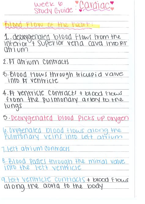 QUIZ 6 Cardiac Quiz Nurs 211L Studocu