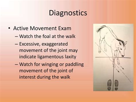 Angular Limb Deformity Ppt
