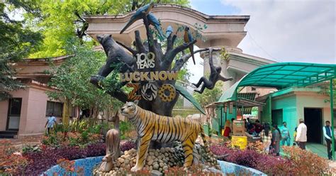 Lucknow Zoo लखनऊ चिड़ियाघर में इजराइल से लाए गए जेब्रा की मौत जानिए