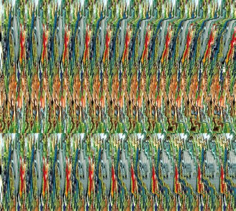 Stereogram Vision Problems Solutions And Tips The Magic Eye 3d